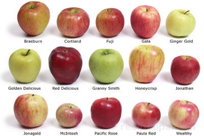 Listeria Recall: McIntosh, Honeycrisp, Jonathan, Fuji, Jonamac and Red ...